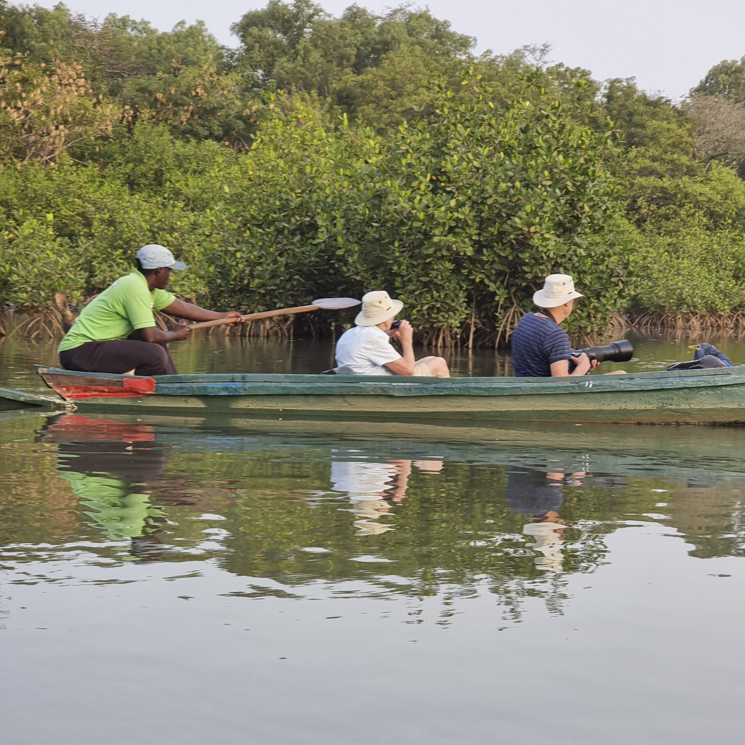 Home - SparrowBirding